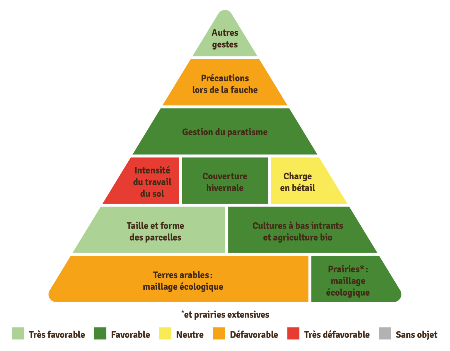 Pyramide: un outil d’accompagnement pour évaluer et comprendre l’impact ...