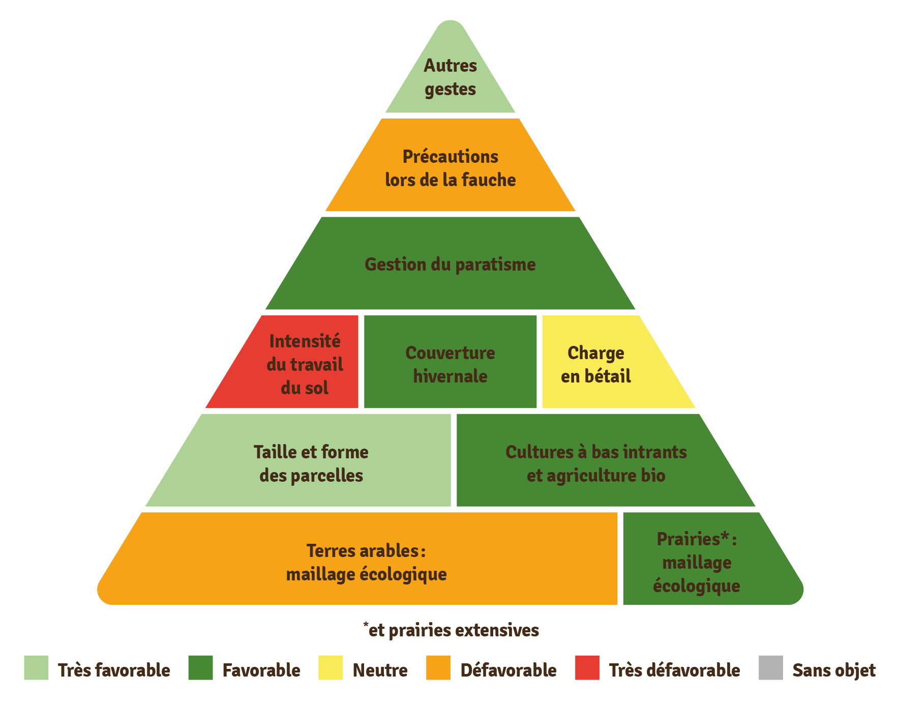 Pyramide: un outil d’accompagnement pour évaluer et comprendre l’impact ...